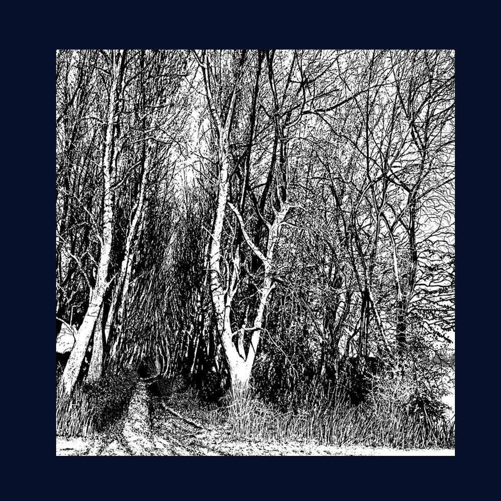 Capturing Trees in Ink – Utopia: The Unexpected Gallery